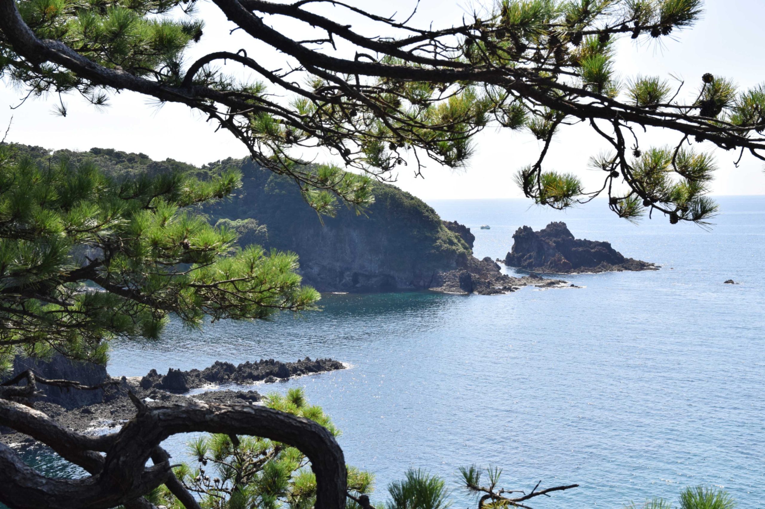 From Kanazawa to the gems of Noto Peninsula - WarmCheapTrips